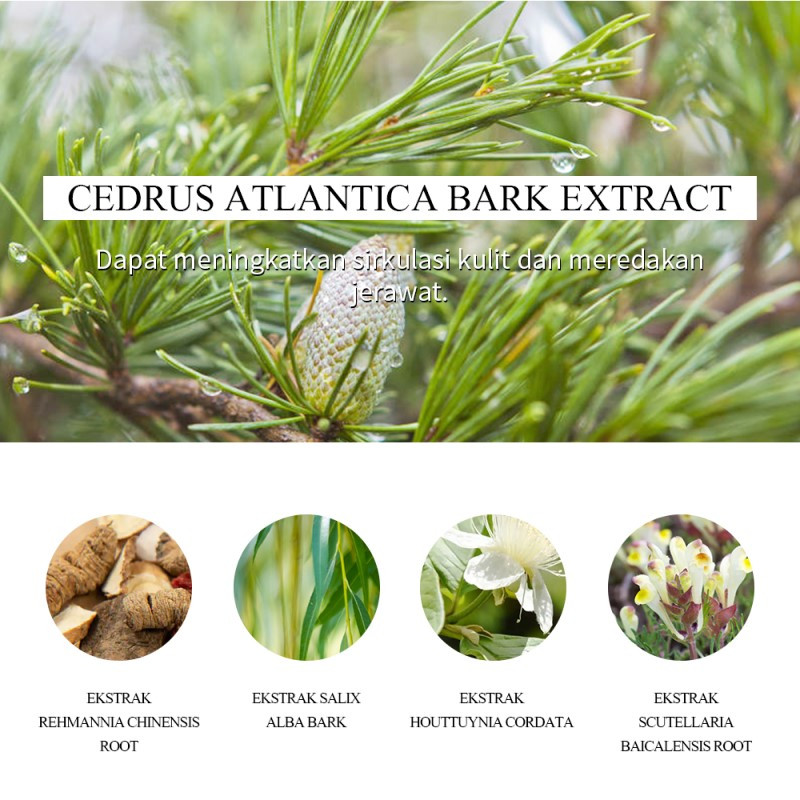 PROMO Breylee Tea Tree Acne Treatment Serum FREE ONGKIR