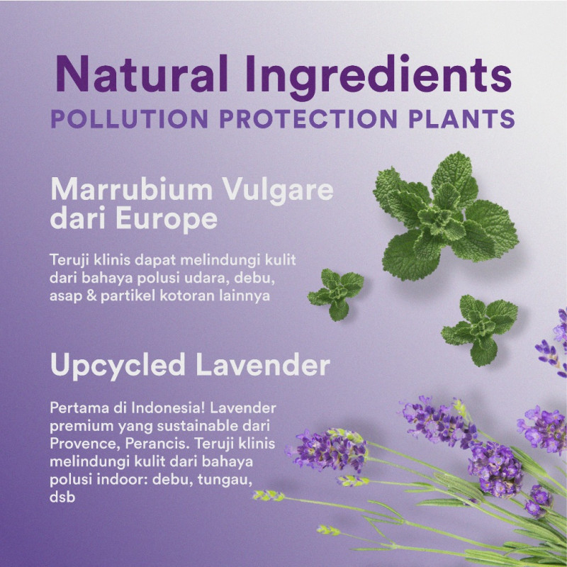 PROMO Studio Tropik DreamSetter Airbrush Setting Powder FREE ONGKIR