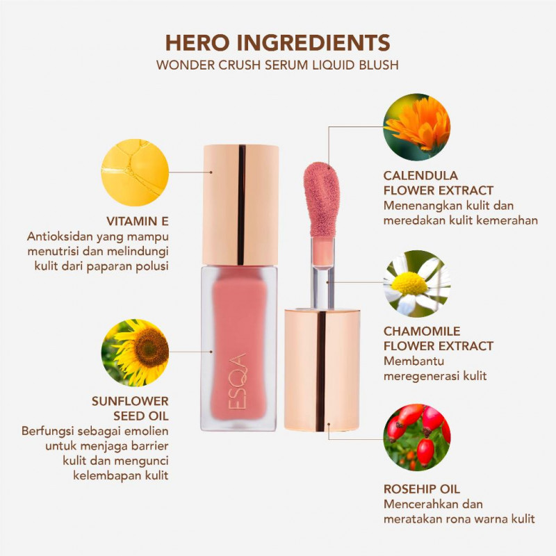 Jual Esqa ESQA Bundle Kit ( Wonder Crush Serum Liquid Blush + Slick ...